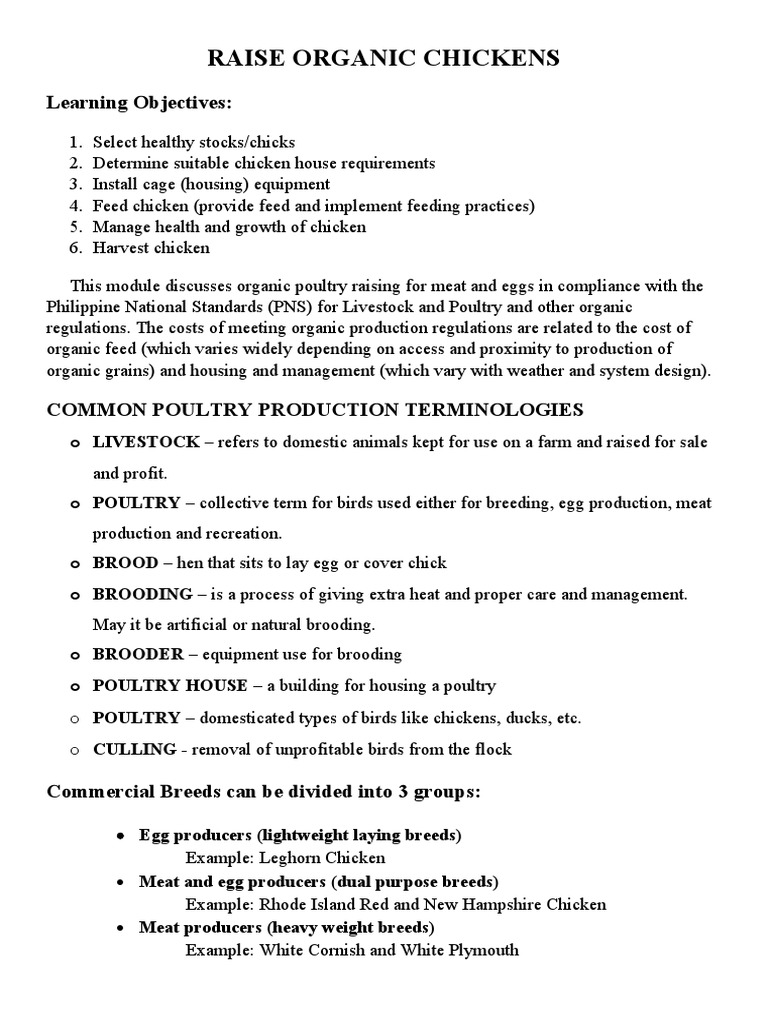 Raise Organic Chickens: Learning Objectives | PDF | Chicken | Poultry