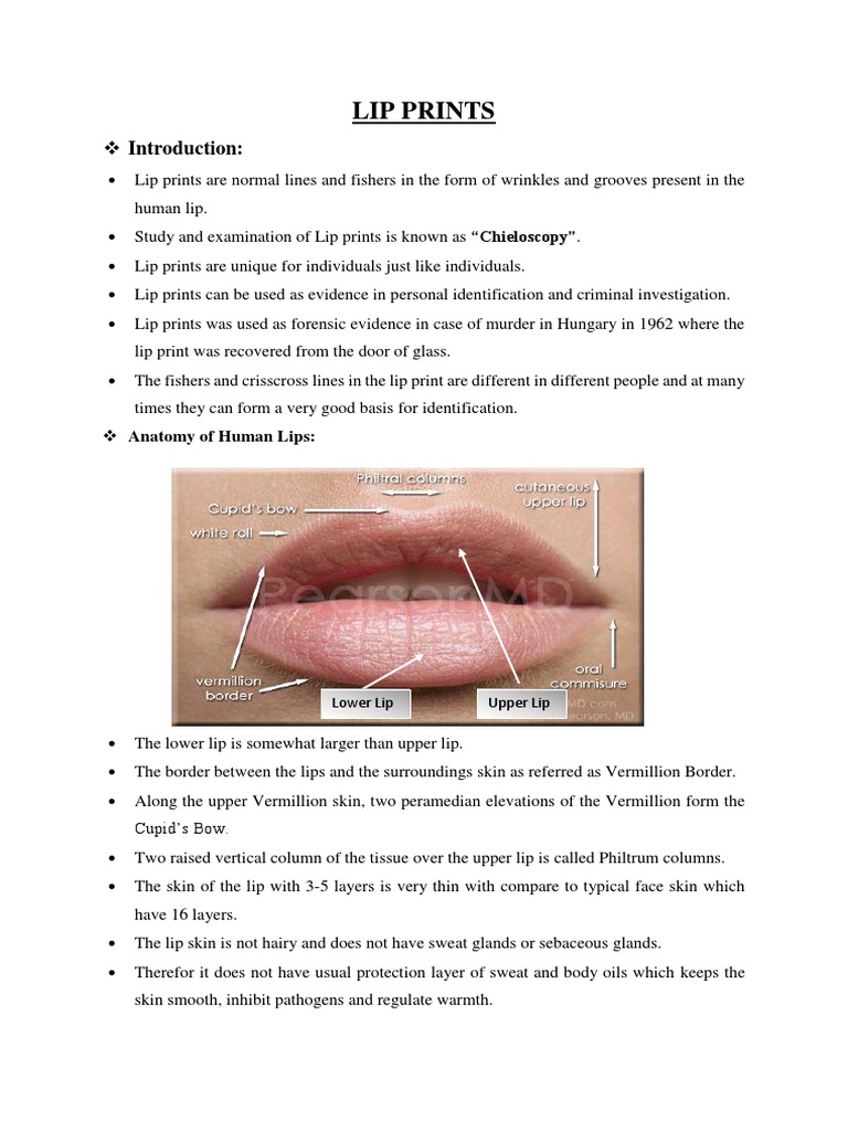 Lip Prints: Introduction | PDF | Lip | Skin