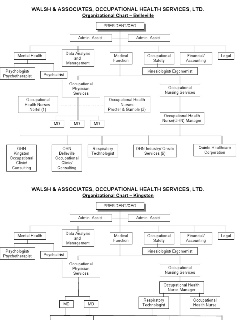 Walsh Org Chart Master | PDF | Health Care | Nursing