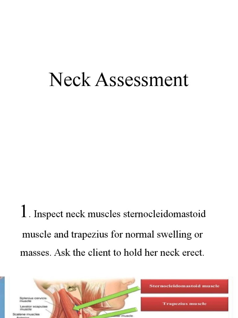 Neck Assessment - WPS Office | Download Free PDF | Neck | Nipple