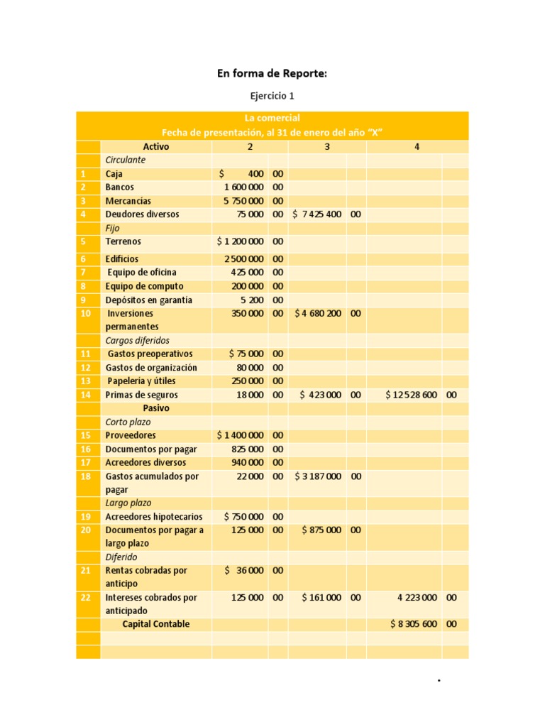 Capitulo 6 (Forma de Reporte) | PDF | Contabilidad | Hoja de balance
