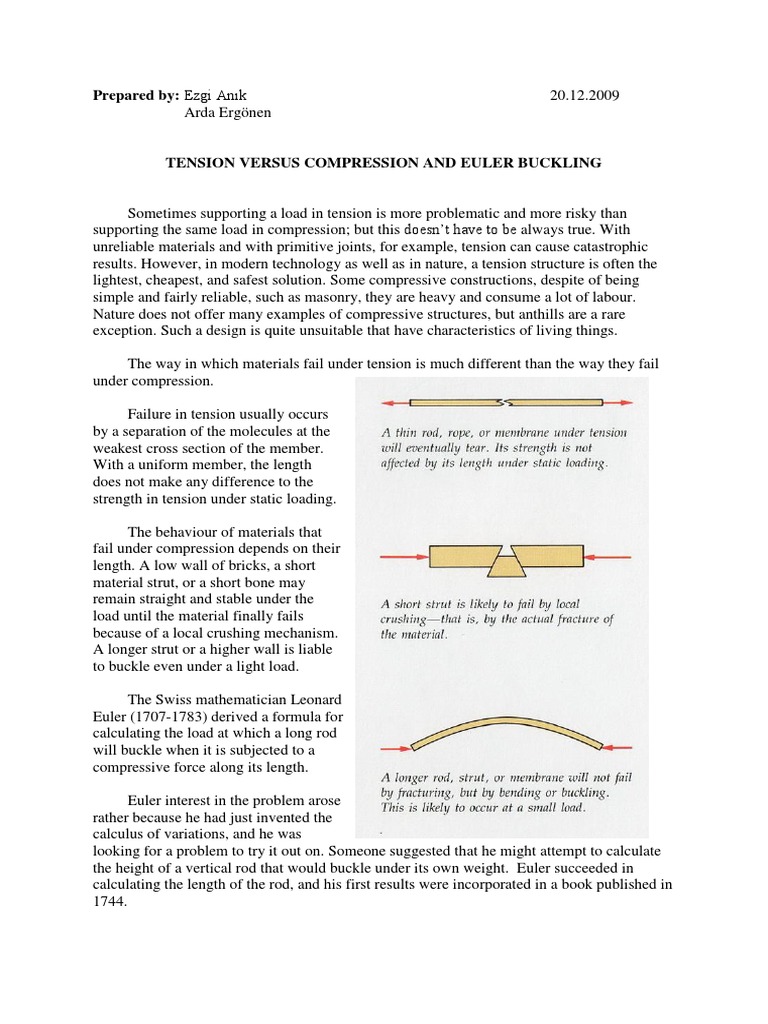 Prepared By: Ezgi Anık | Download Free PDF | Buckling | Stress (Mechanics)