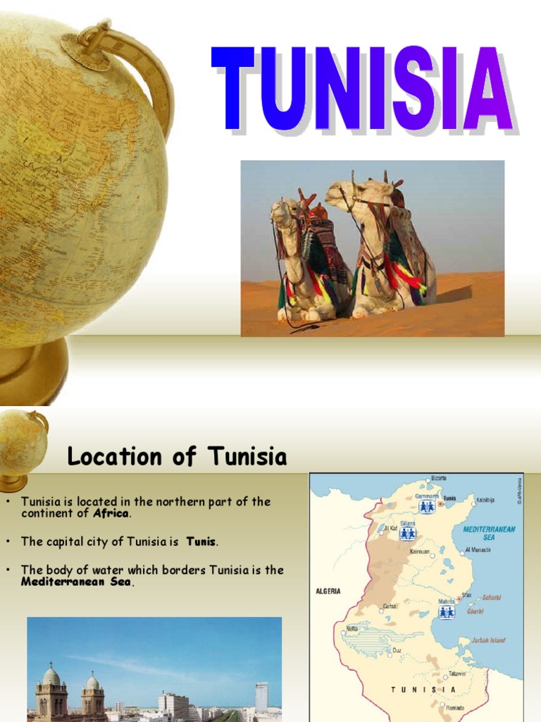 Tunisia | Download Free PDF | Tunisia | Desert