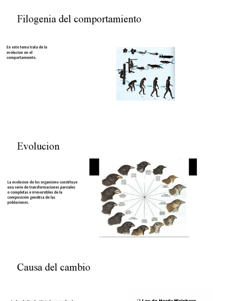 Conducta Animal Filogenia Del Comportamiento | PDF