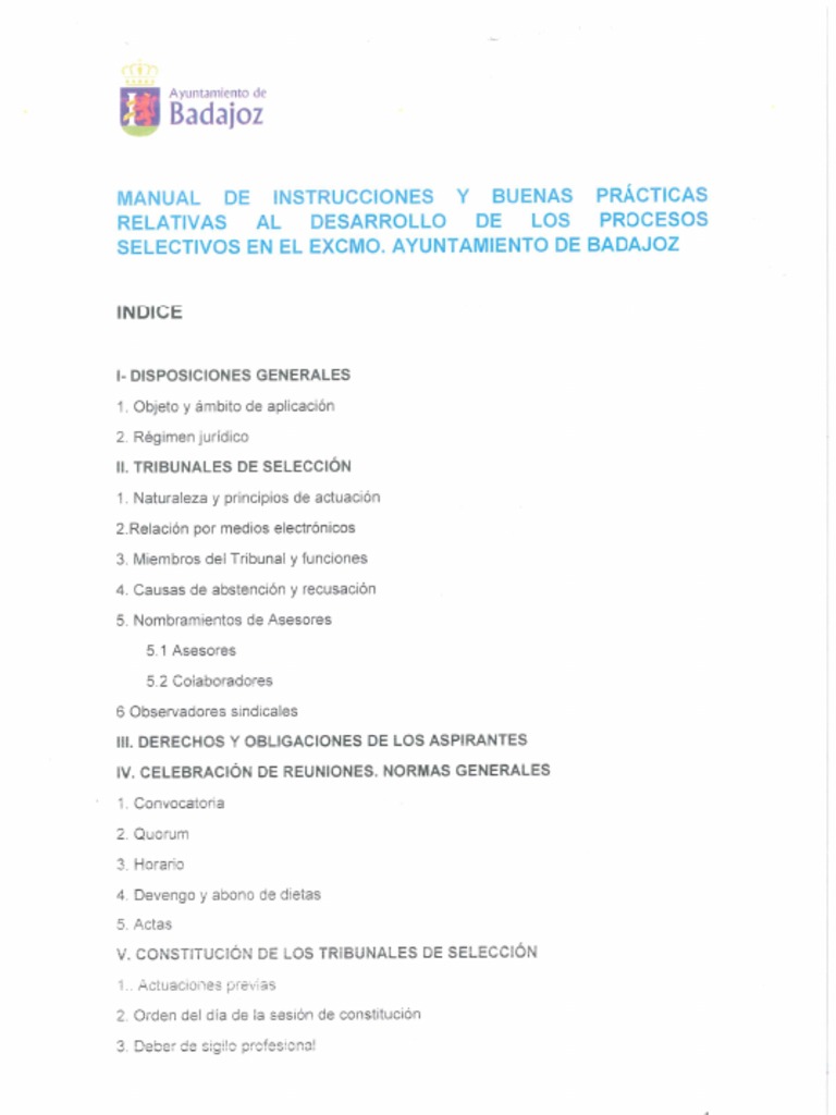 Manual Instrucciones Buenas Practica Proceso Selectivos | PDF