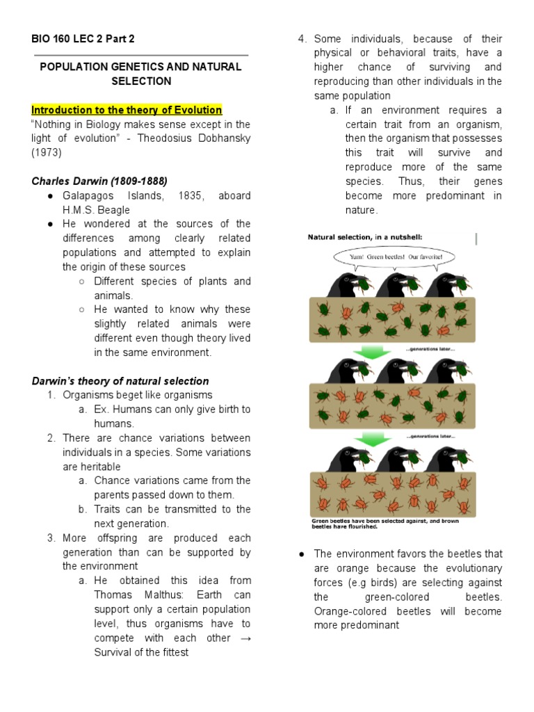 BIO 160 Lec 2 Part 2 | PDF | Natural Selection | Evolution