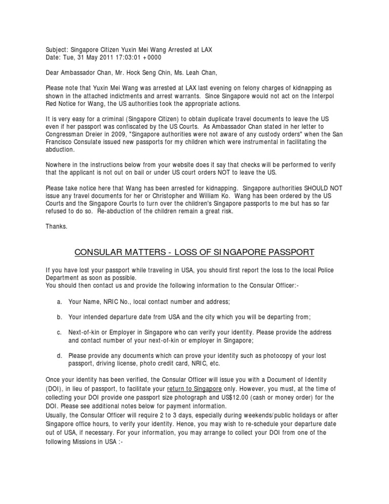 Easy Singapore Document of Identity | PDF | Passport | Consul ...