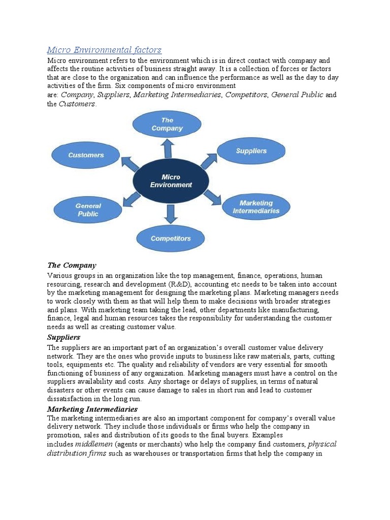 External Business Environment | PDF | Marketing | Economies