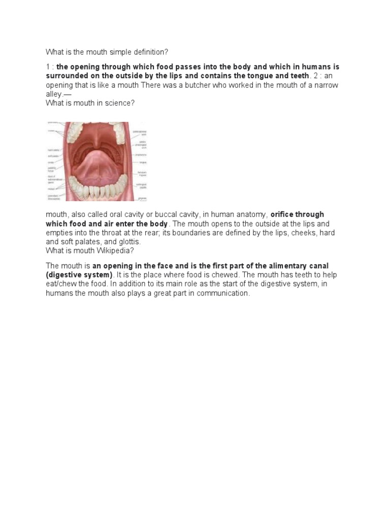 Definition and Function of the Mouth | PDF | Wellness