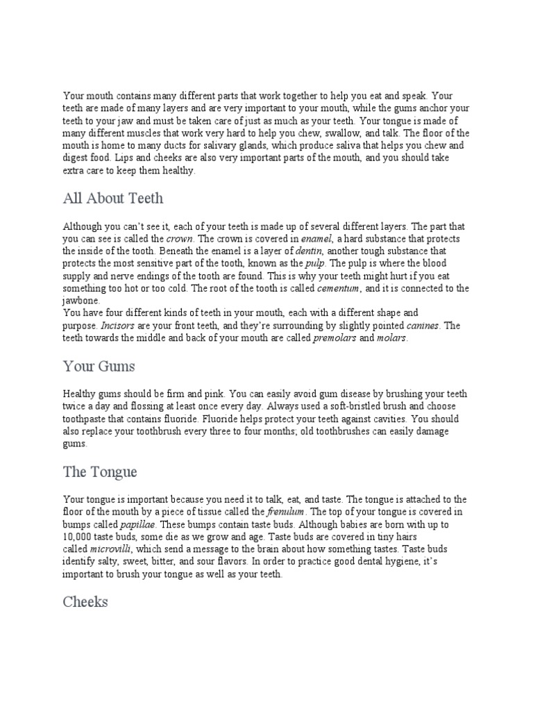 The Anatomy of The Mouth | PDF | Tooth | Dentistry