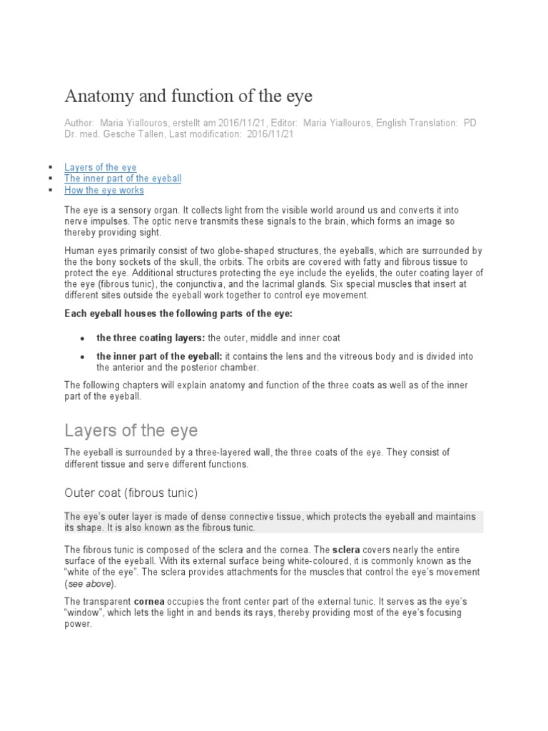 Anatomy and Function of The Eye | PDF | Eye | Human Eye