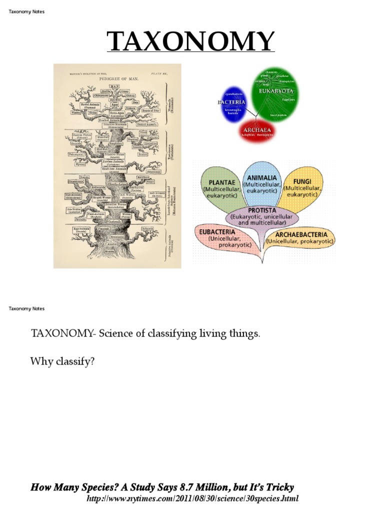 Taxonomy Notes | PDF | Taxonomy (Biology) | Species