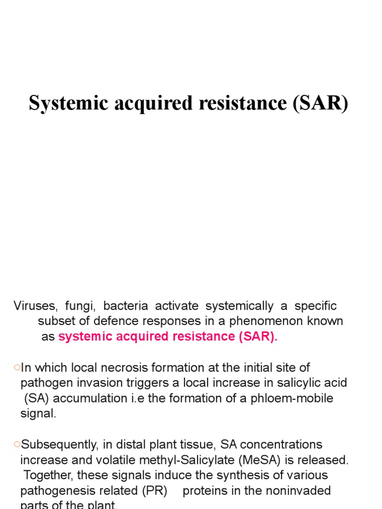 Systemic Acquired Resistance (SAR) | PDF | Chemistry | Biology