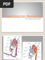 MR Sopa | PDF | Reanimación cardiopulmonar | Medicina CLINICA