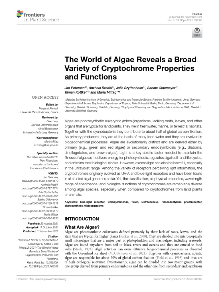 The World of Algae Reveals A Broad Variety of Cryptochrome Properties ...
