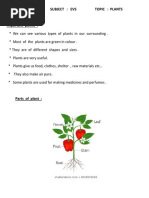 CLASS 3 SCIENCE CHAPTER 3 BIRDS Mrs. Geetarani Das | PDF | Birds | Feather