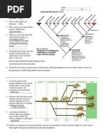Evolution Lab Answer Key | PDF | Dinosaurs | Evolution