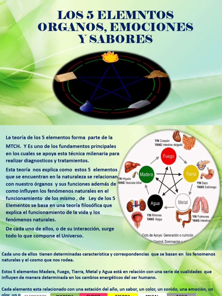 Los 5 Elementos | PDF | Alimentos | Sabor