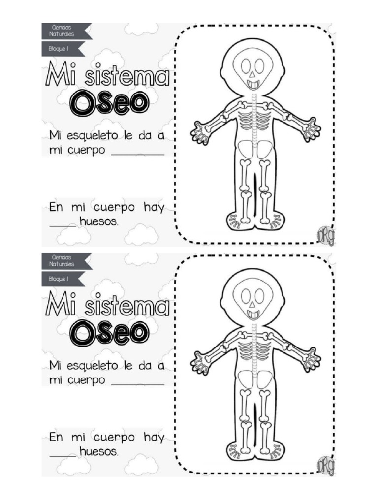 Sistema Oseo | PDF