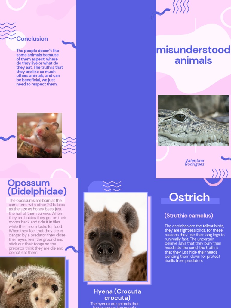 Misunderstood Animal Facts | PDF