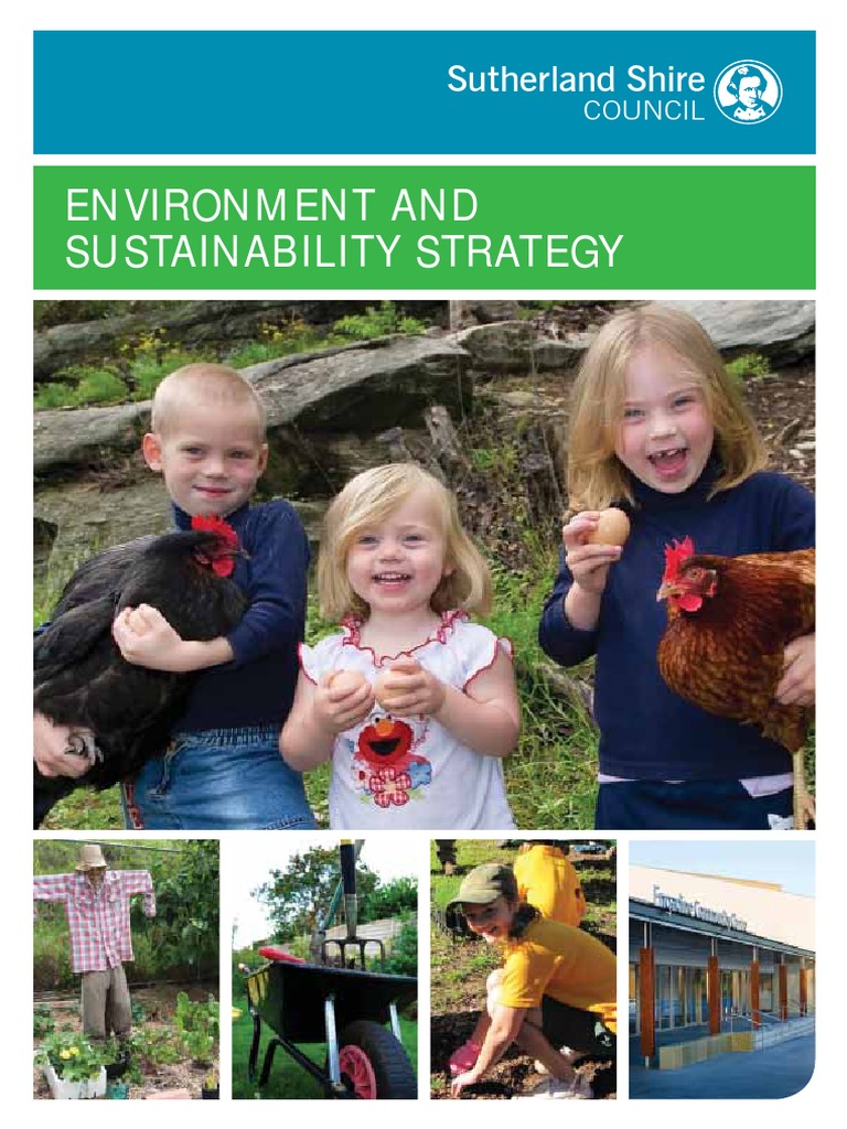 Environment and Sustainability Strategy | PDF