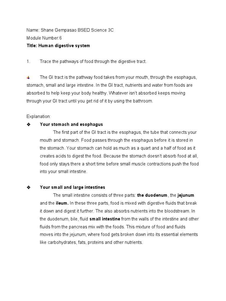 Module 6 Digestive System | PDF | Gastrointestinal Tract | Human ...