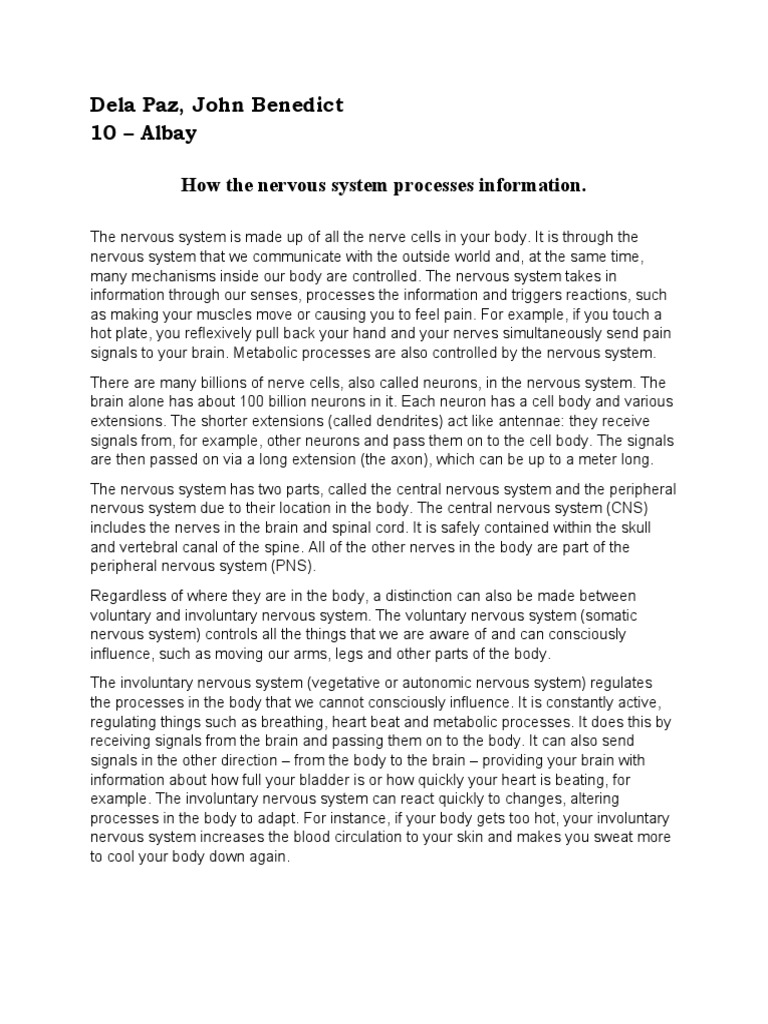 Delapaz, John Benedict (Performance Task 2) | PDF | Nervous System | Central Nervous System