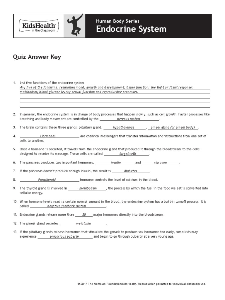 Endocrine System: Quiz Answer Key | PDF | Self-Improvement | Wellness