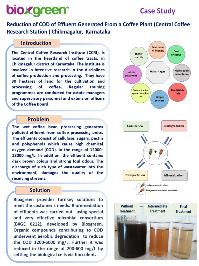 Coffee Processing Plant- Case Study | PDF | Chemistry | Physical Sciences