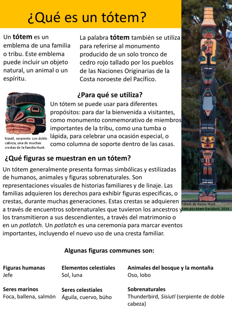 Totem Updated Activity 2020 Spanish Only | PDF | Color | Papel