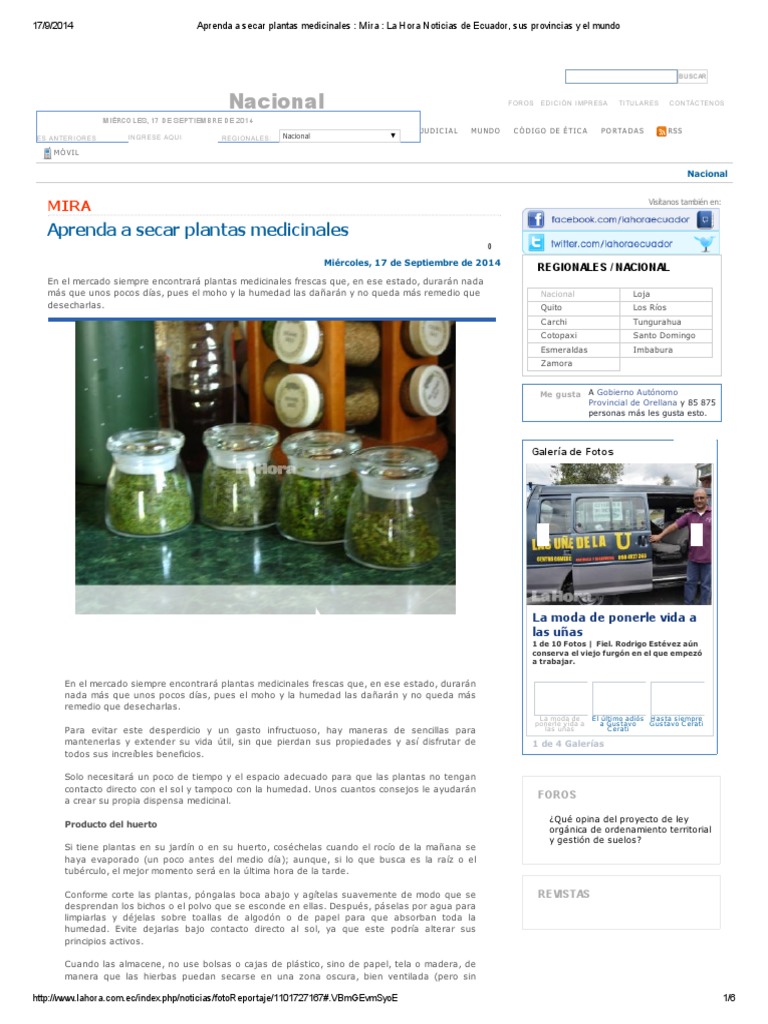 Aprenda A Secar Plantas Medicinales Pdf Papel Pelo