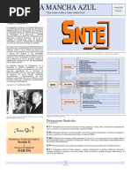 ESTATUTO-SNTE. | PDF | Sindicato