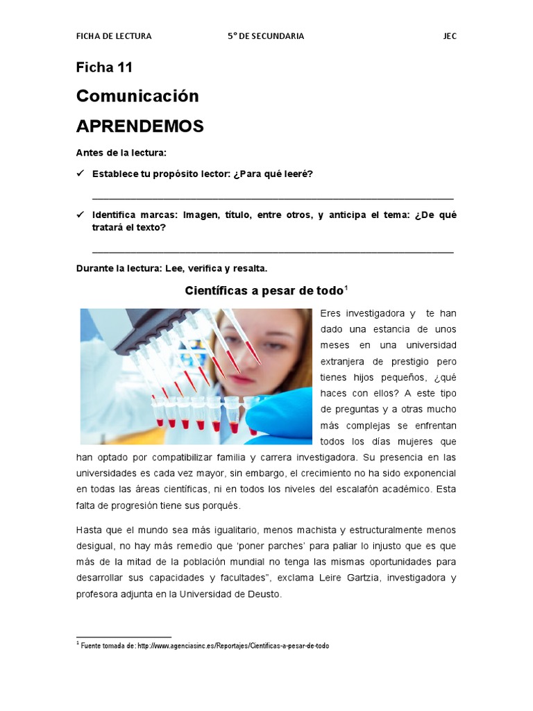 Rp-Com5-K11-Ficha 11 | PDF | Transporte | Residuos