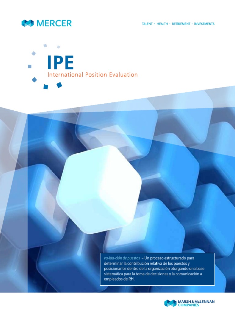 Ipe Es | PDF | Cadena de valor | Toma de decisiones