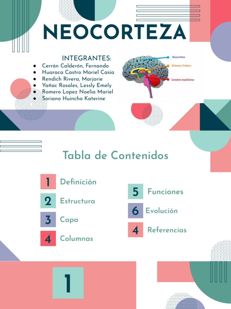 GRUPO 04 - Neocorteza | PDF | Neocortex | Neurociencia