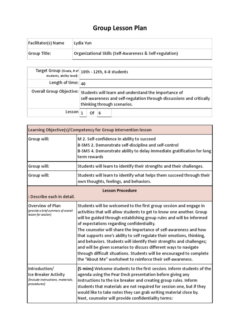 Small Group Lesson Plan Organization Skills | PDF | Goal | Lesson Plan