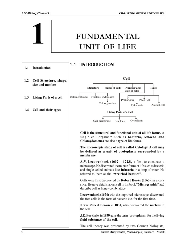 Class 9 Biology: Fundamental Unit of Life | PDF | Endoplasmic Reticulum ...