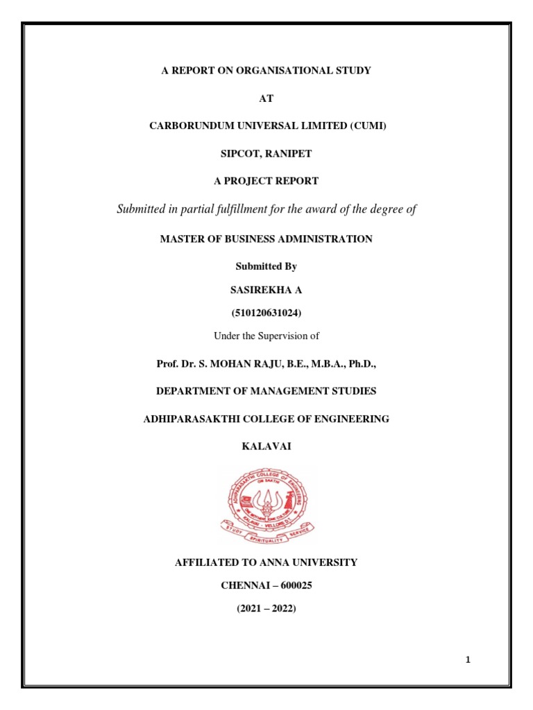 Summer Project Report | PDF | Strategic Management | Economies