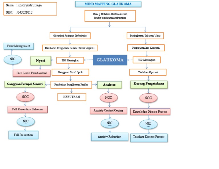 Mapping Glaukoma | PDF