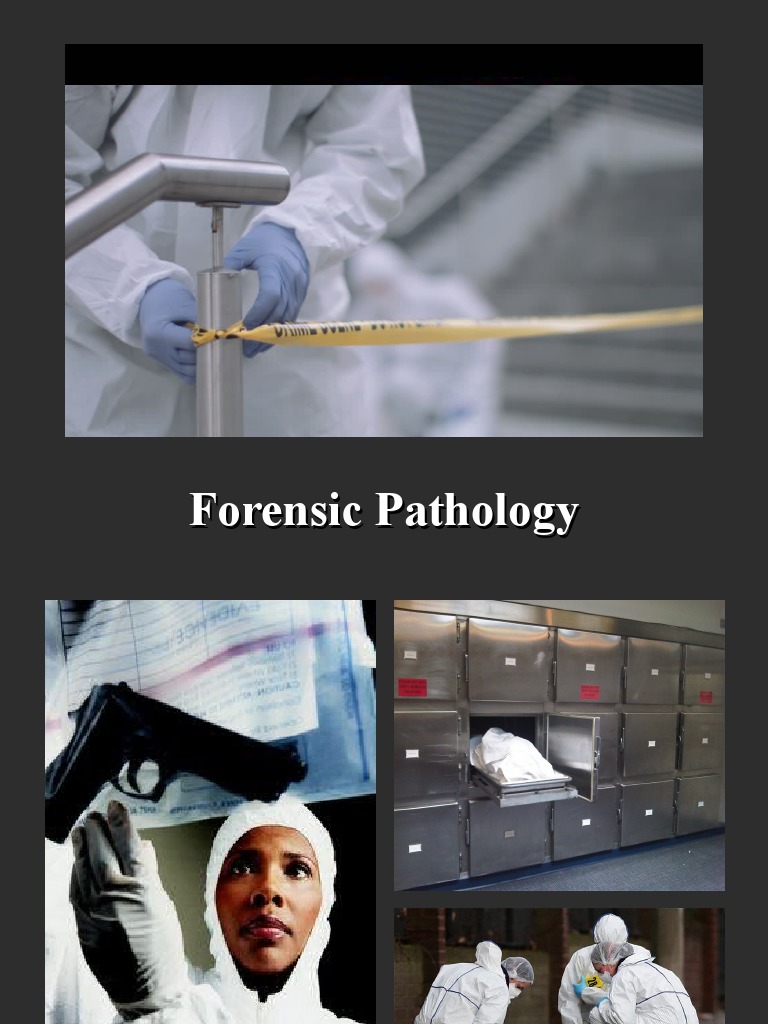 Forensic Pathology Career Presentation | PDF