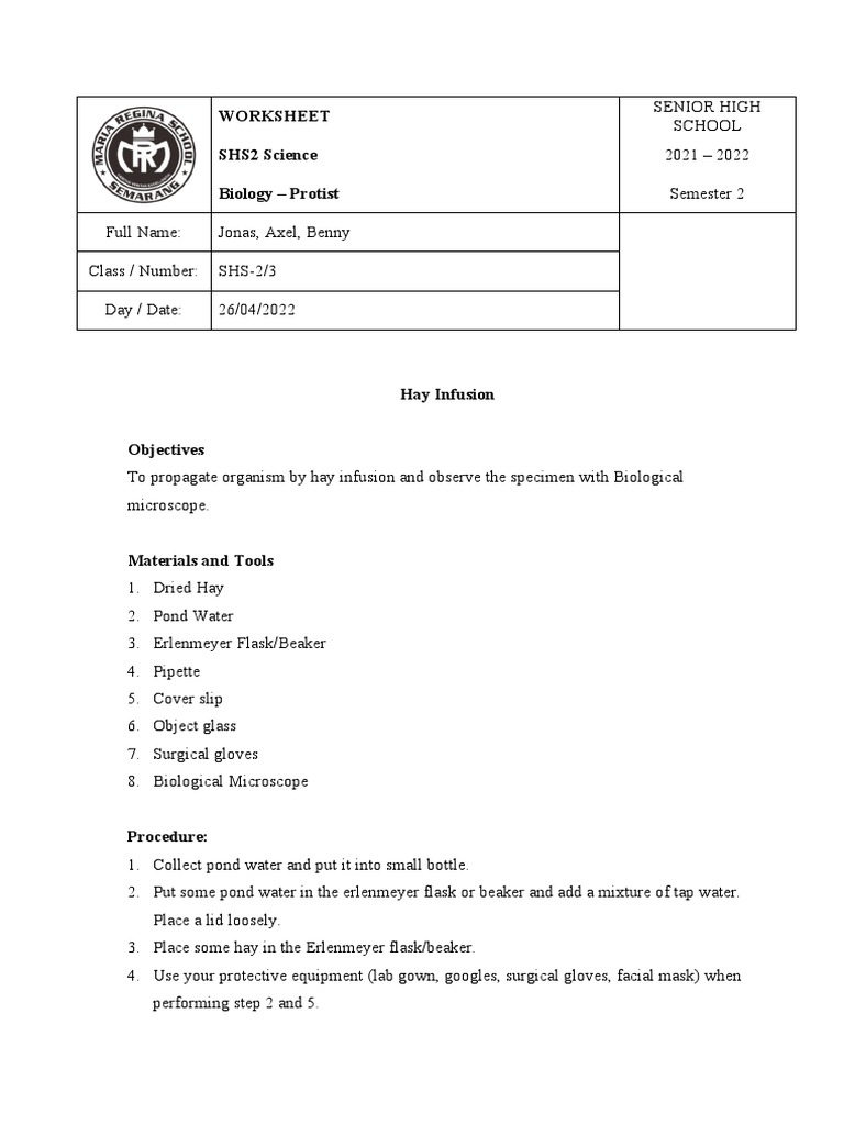 WORKSHEET Protista-Hay Infusion | PDF | Protozoa | Organisms