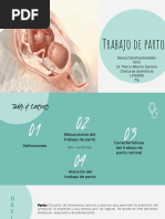 Curva de Friedman en Partos Eutócicos | PDF | Parto | Salud maternal