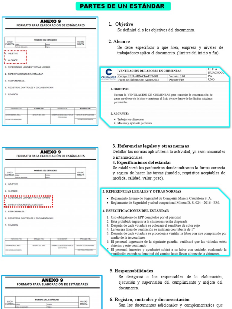 Partes de Un Estándar | PDF | Crecimiento personal y profesional ...
