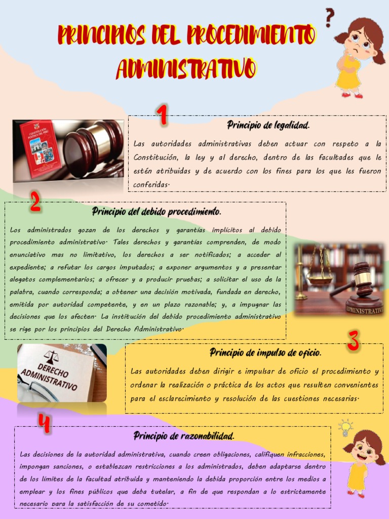 Principios Del Procedimiento Administrativo | PDF | Verdad | Justicia