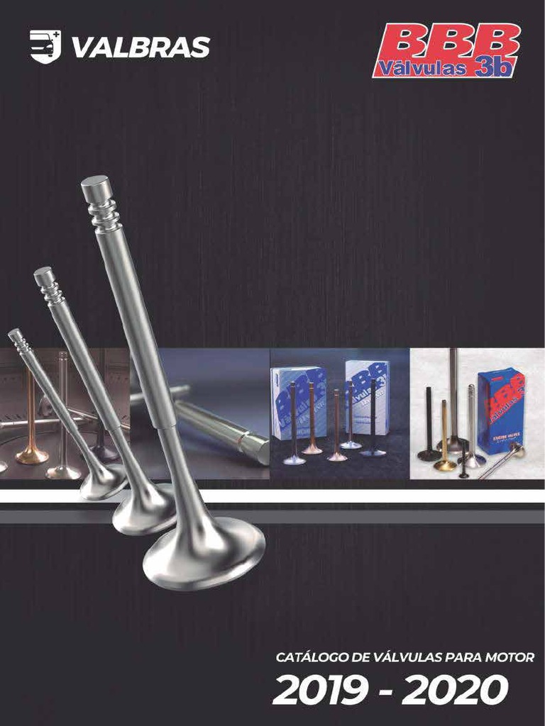 3B Valv 2020 | PDF