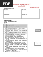 Caracterizare Take Ianke | PDF