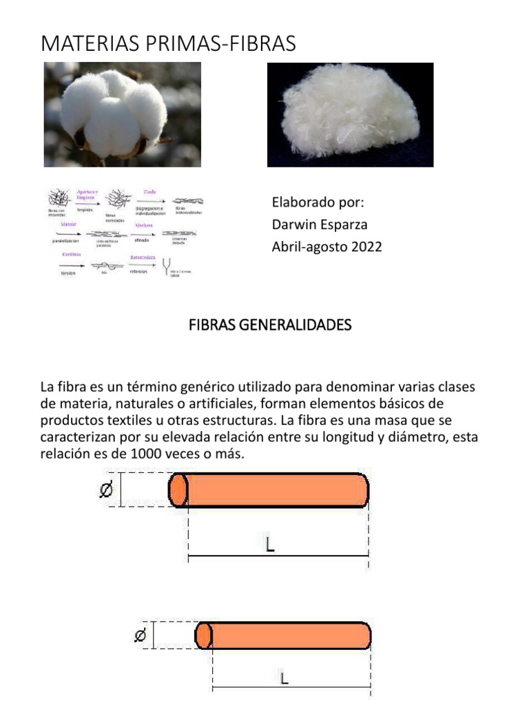 Clasificación de Fibras Textiles | PDF | Fibra sintética | Textiles