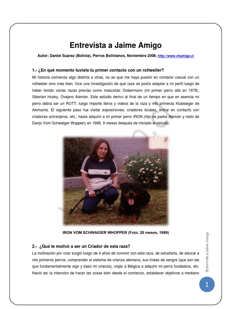Criador de Rottweilers: Entrevista a Jaime Amigo | PDF | Perros ...