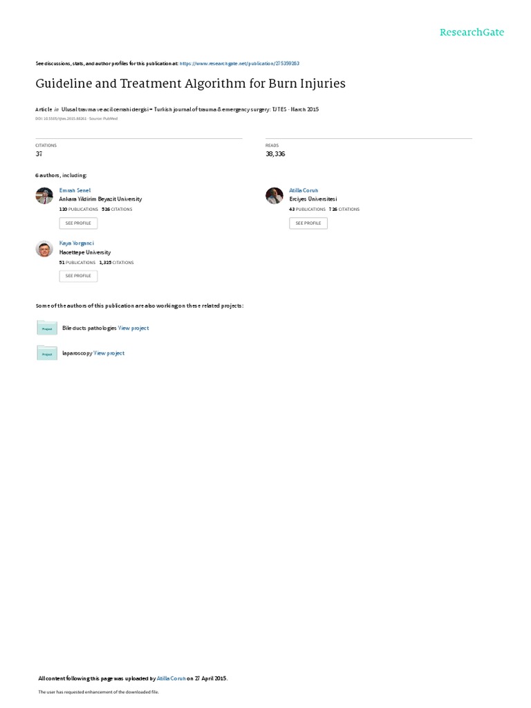 Guideline and Treatment Algorithm For Burn Injuries | Download Free PDF ...