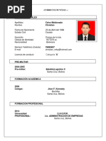 Currículum Vitae Saul | PDF